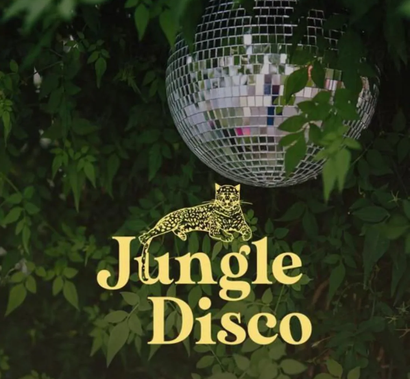 JUNGLE DISCO by Mozambo & Body and Soul em edição histórica